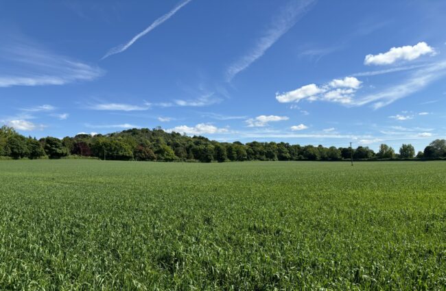 Properties For Sale/To Let - Briggs & Stone Buckinghamshire